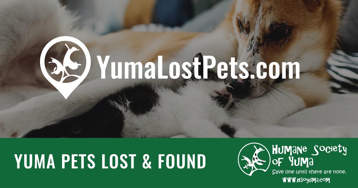 Report Found Pet - Yuma Pets Lost & Found by Humane Society of Yuma